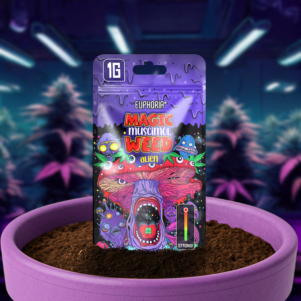 Fleur MUSCIMOL Alien - 1g - Euphoria – KanaFlow