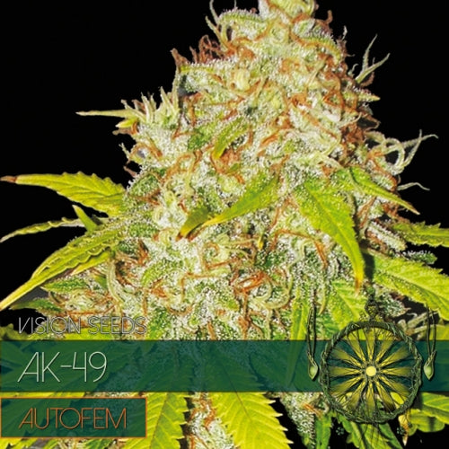 AK-49 - AutoFem – KanaFlow
